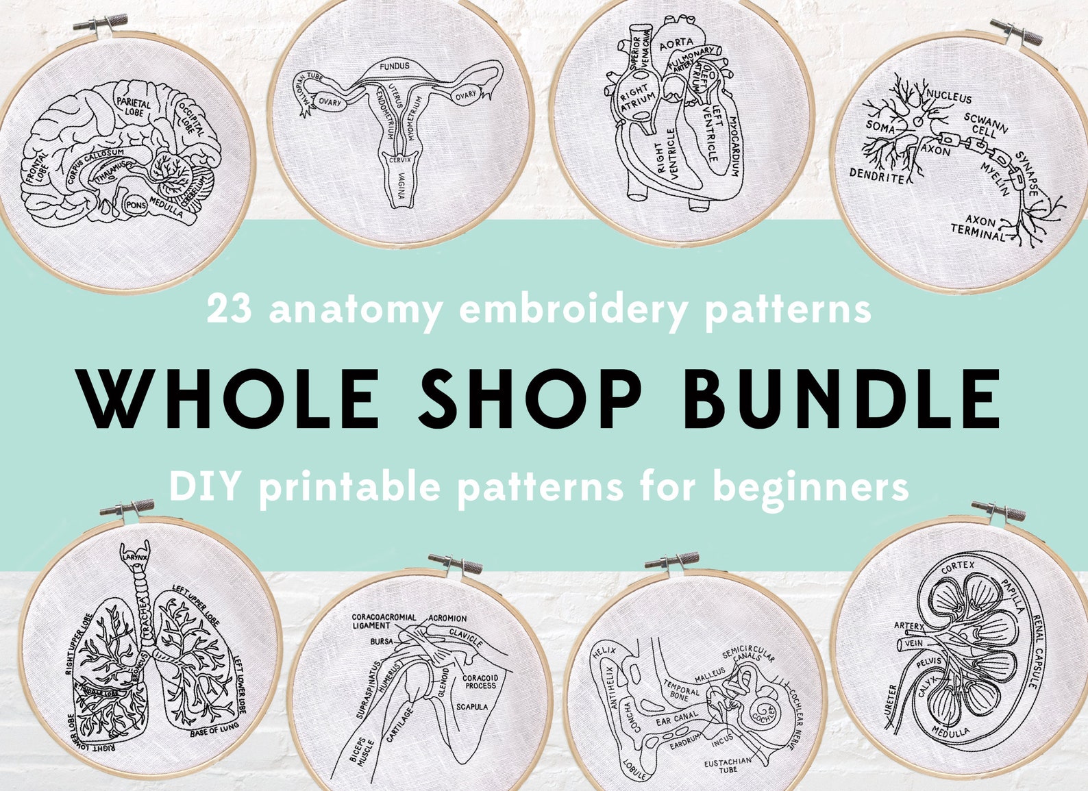 23 Anatomy Embroidery Patterns, Embroidery Pattern Bundle, Medical ...