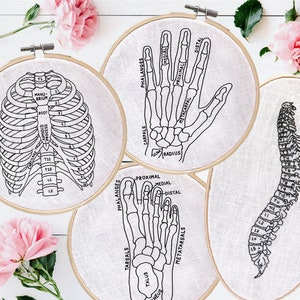 Anatomy Embroidery Pattern Bundle, Ribs Hand Foot Spine, Physical ...