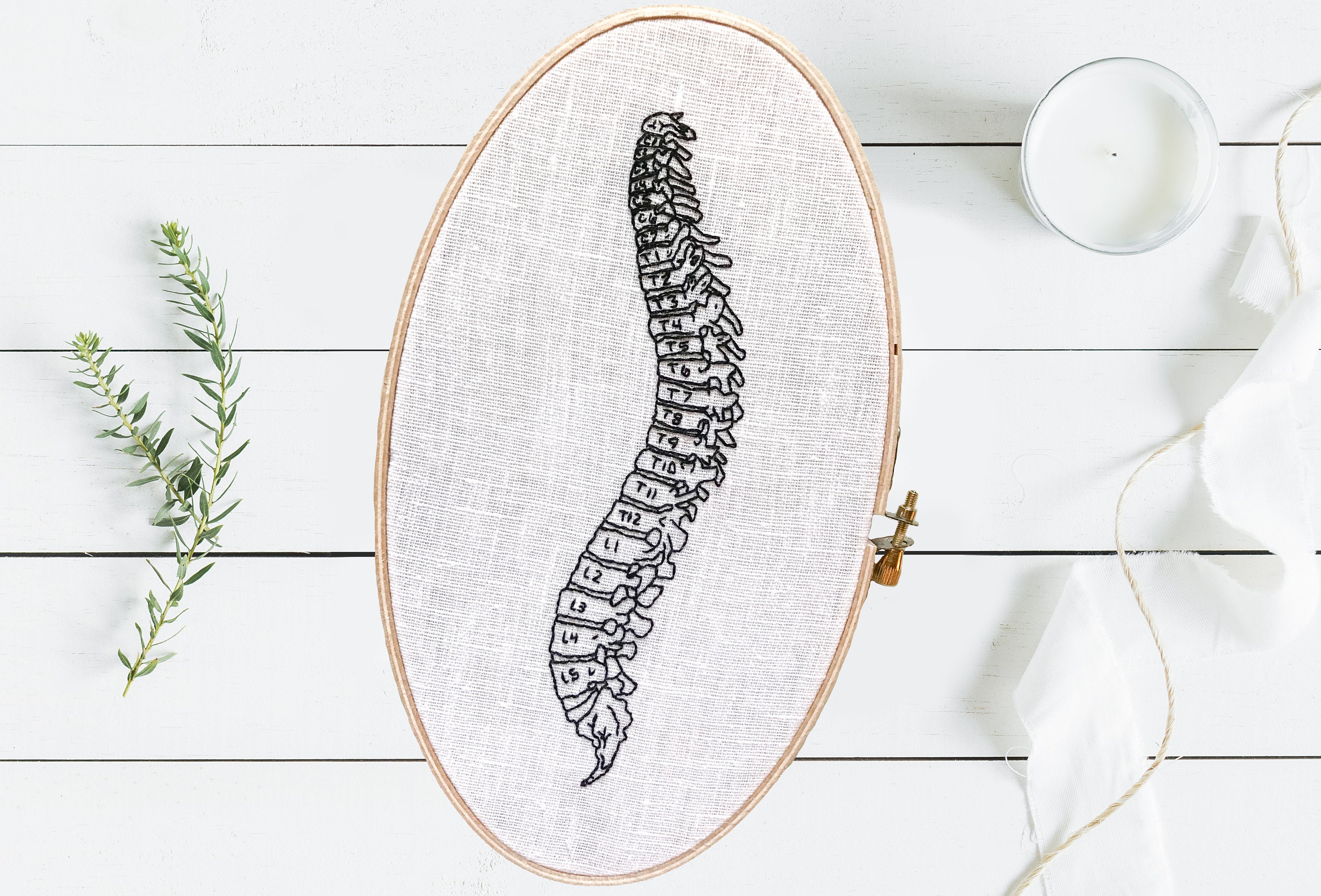 DIY Brain and Spine Embroidery Bundle, Vintage Anatomy Pattern ...