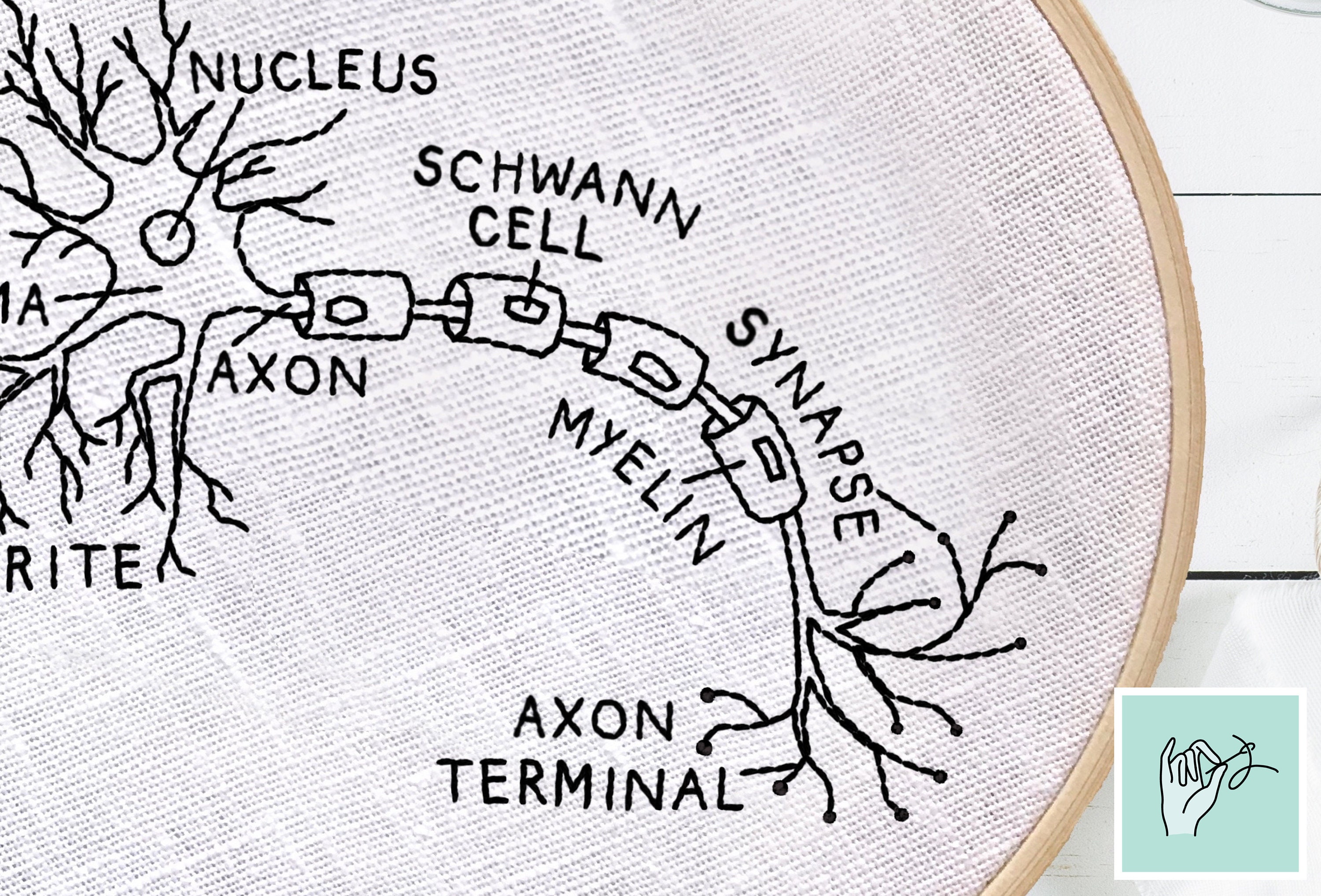 Neuron Embroidery Pattern Neuron Anatomy Medical Embroidery - Etsy