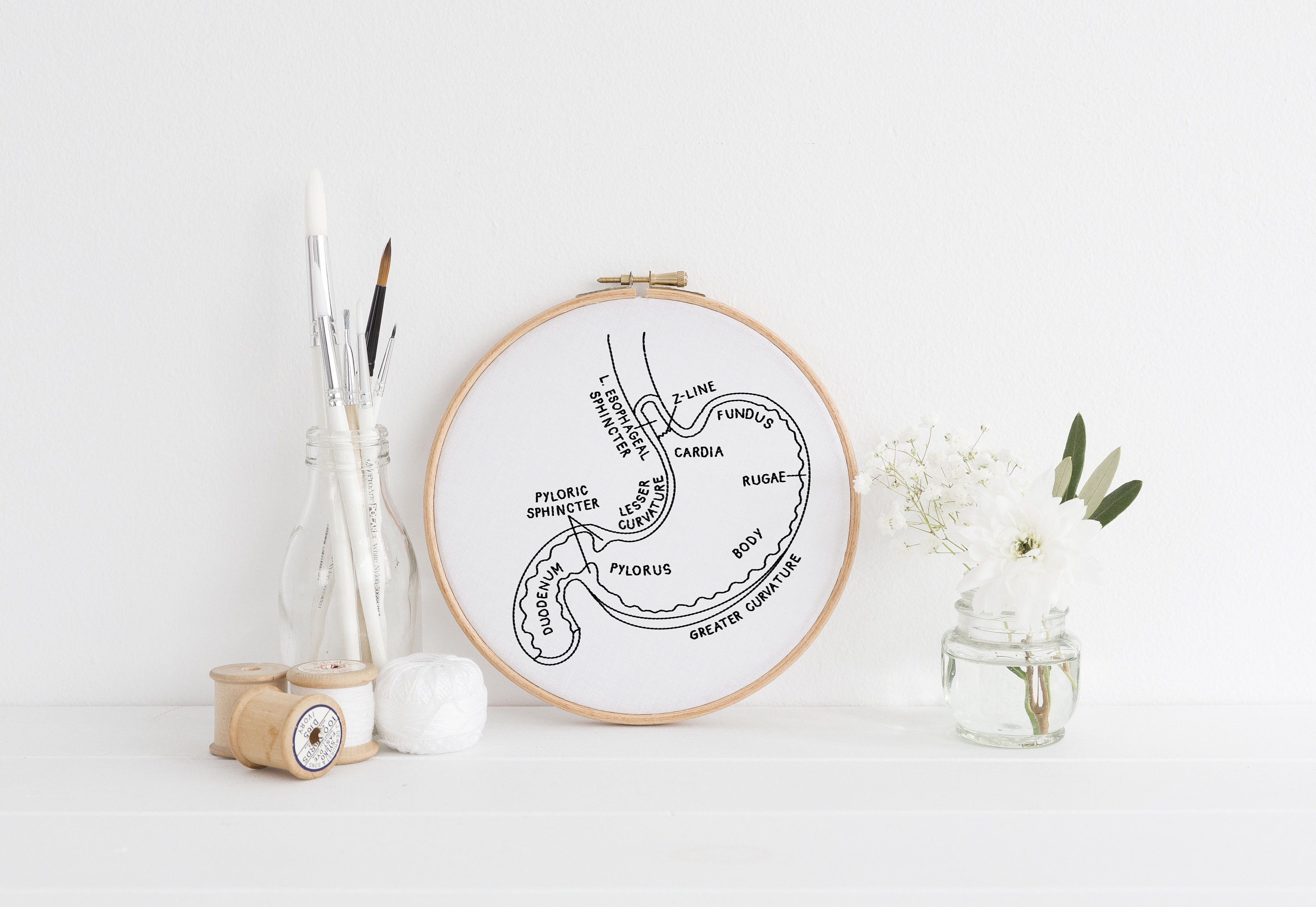 Stomach Anatomy Embroidery Pattern, Medical Embroidery, Nursing Student ...