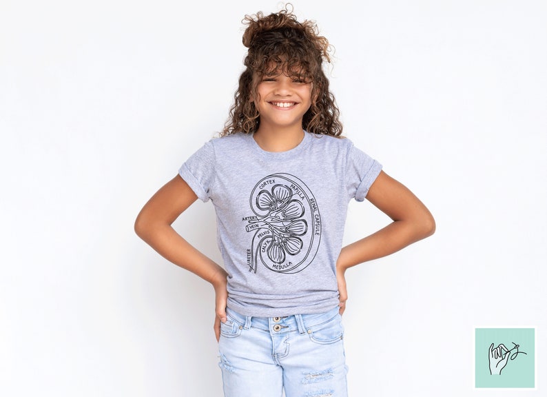 Youth Kidney Anatomy Shirt Kids Kidney T-shirt Kids STEM - Etsy