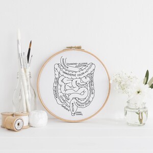 Intestines Anatomy Embroidery Pattern, Intestinal Anatomy, Medical ...