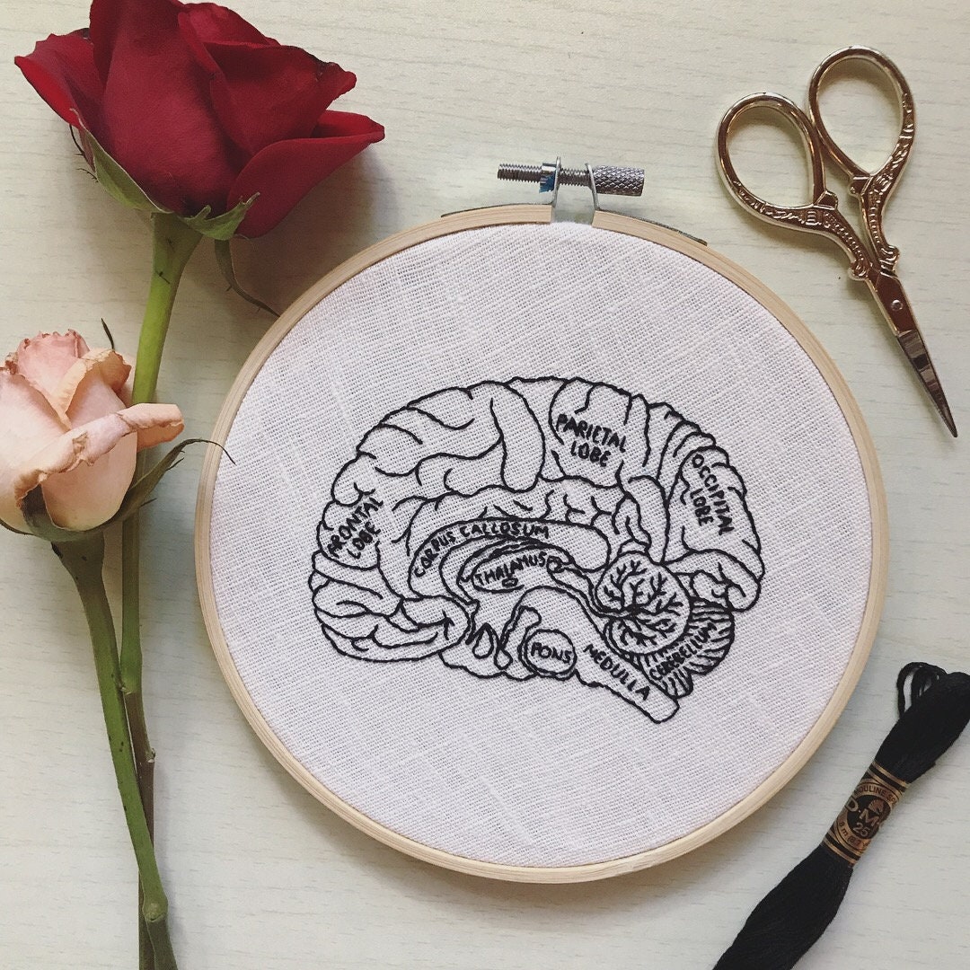 DIY Brain Embroidery Pattern Brain Anatomy Embroidery - Etsy Canada