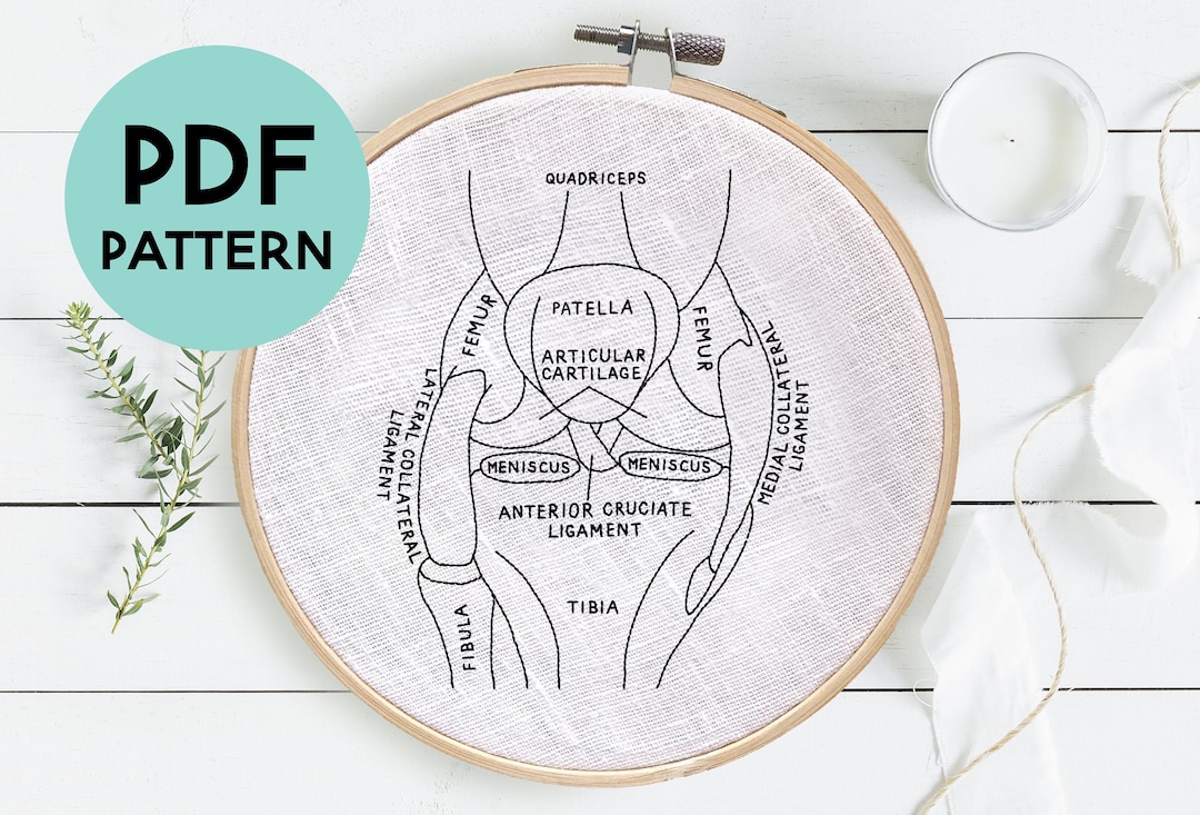 Knee Anatomy Embroidery, Knee Embroidery, Orthopedic Doctor Gift ...