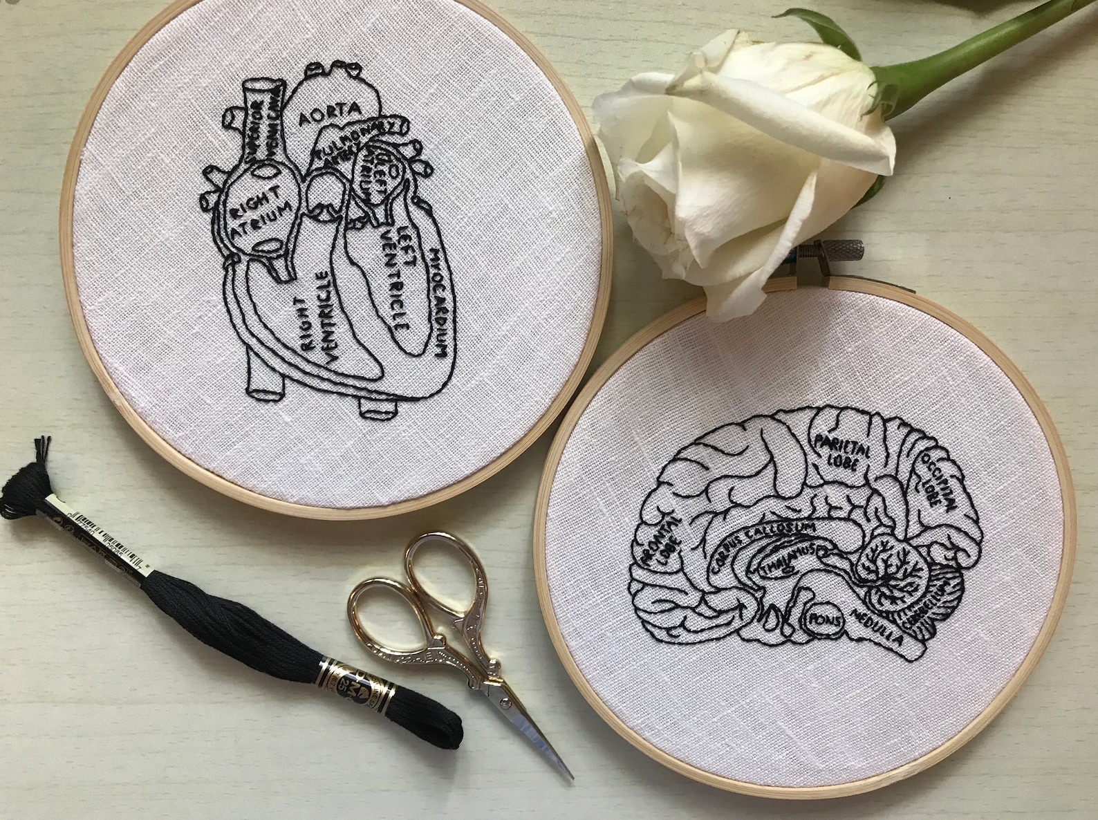 DIY Heart Anatomy Embroidery Pattern, Heart Embroidery, Anatomical ...