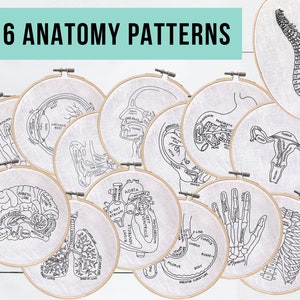 Anatomy Bundle, Embroidery PDF Patterns, Anatomy Patterns Bundle ...