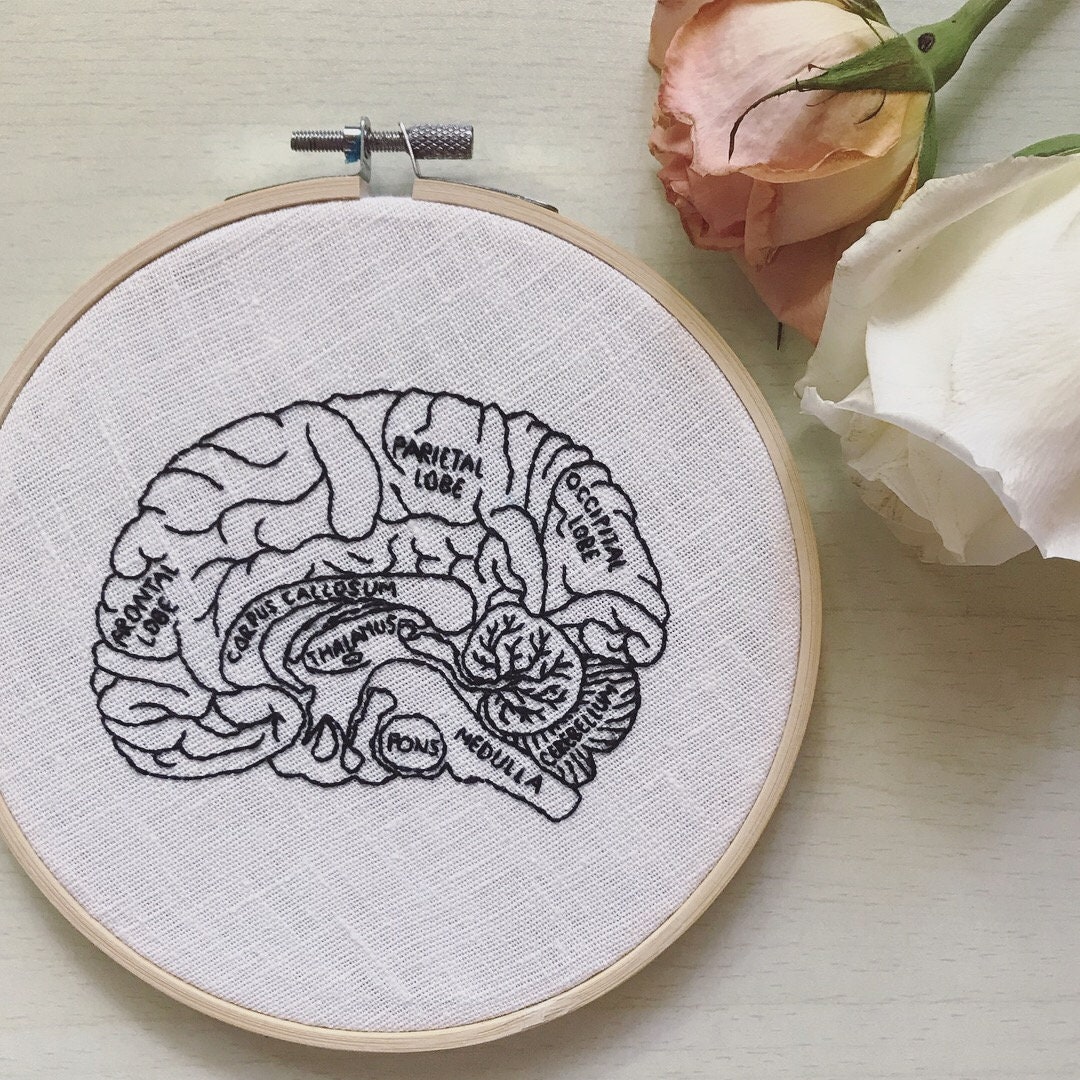 DIY Brain Embroidery Pattern Brain Anatomy Embroidery - Etsy Canada