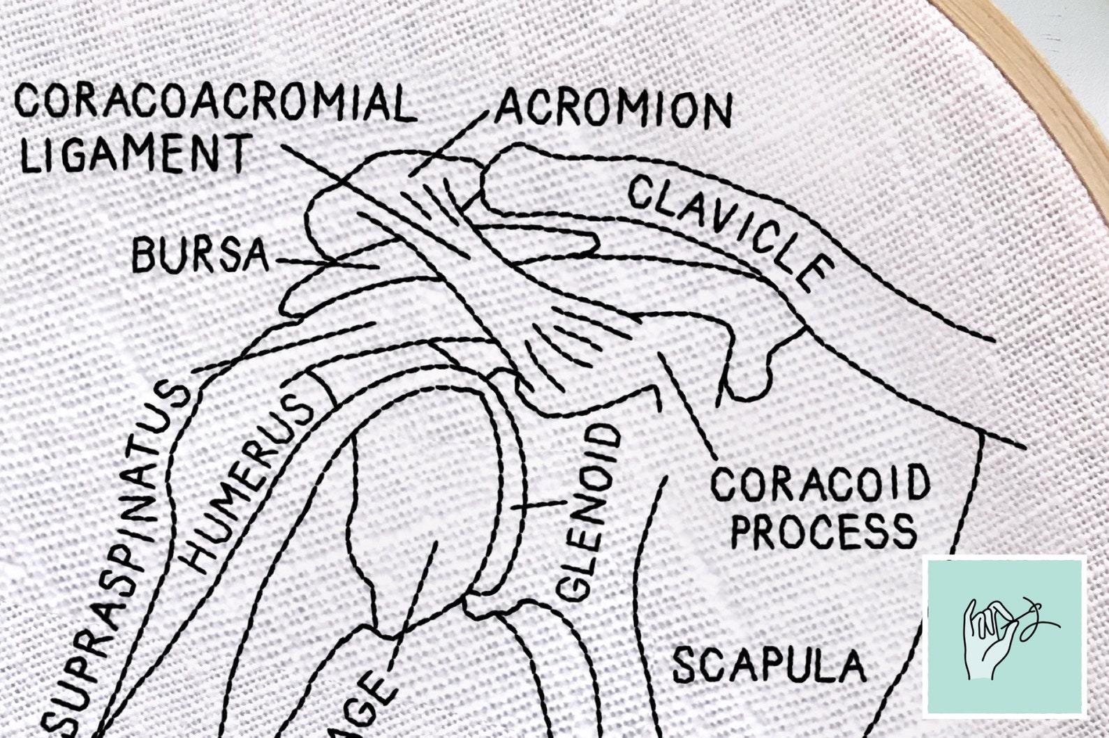 Shoulder Anatomy Embroidery Shoulder Embroidery Orthopedic - Etsy