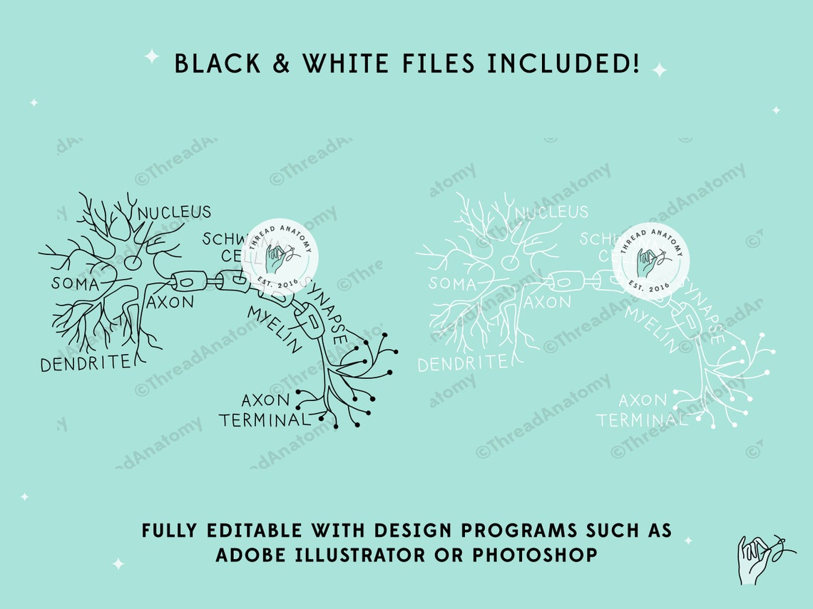 Neuron SVG, Neuron Anatomy Clipart, Neuron Clip Art, Neuron Graphic ...