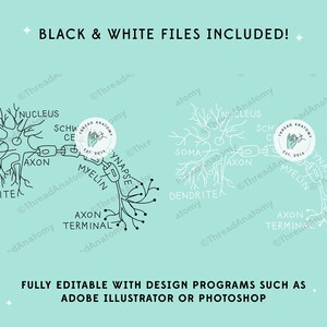 Neuron SVG, Neuron Anatomy Clipart, Neuron Clip Art, Neuron Graphic ...