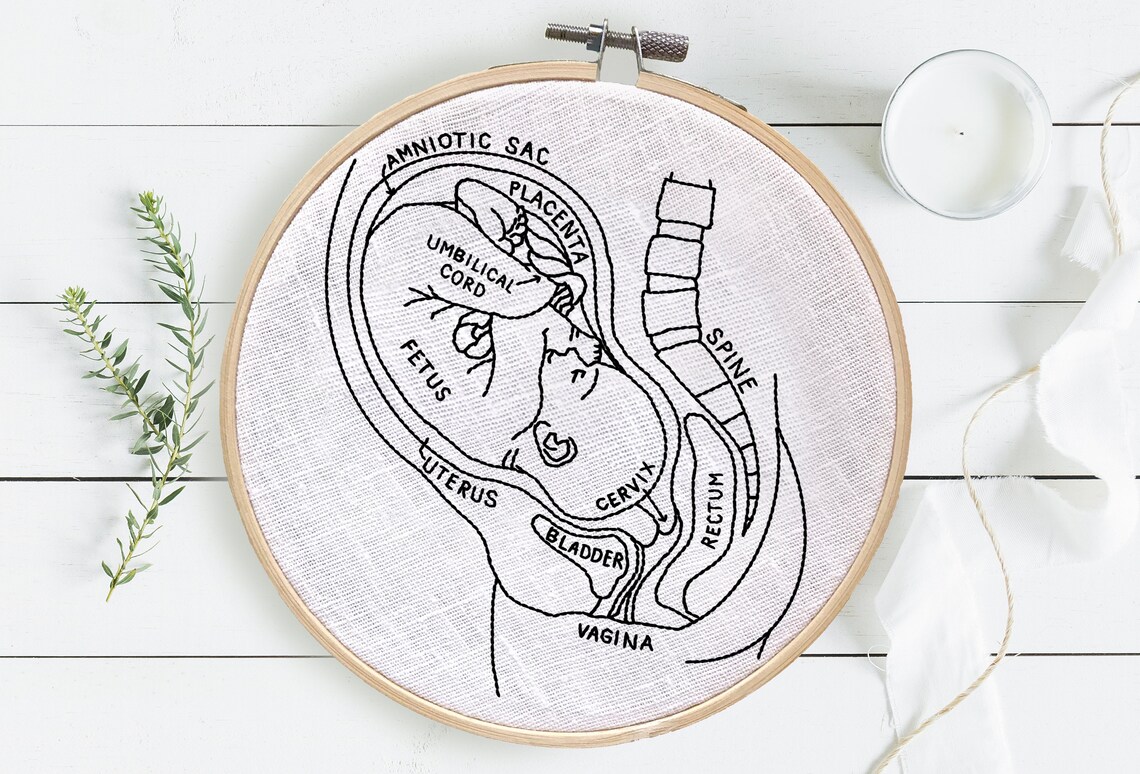 DIY Pregnancy Anatomy Embroidery Fetus in Utero Pattern PDF - Etsy