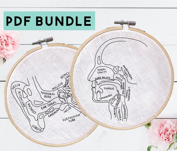 DIY Ear Nose & Throat Anatomy Embroidery Bundle ENT | Etsy