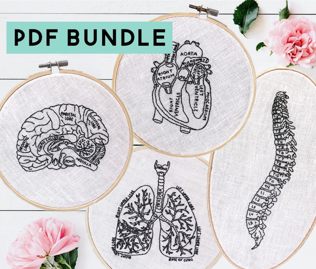 Anatomy Embroidery Pattern Bundle, Nurse Embroidery Guide, DIY Medical ...