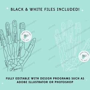 Hand Anatomy Clipart, Hand Clipart, Hand Graphic, Hand Clip Art ...