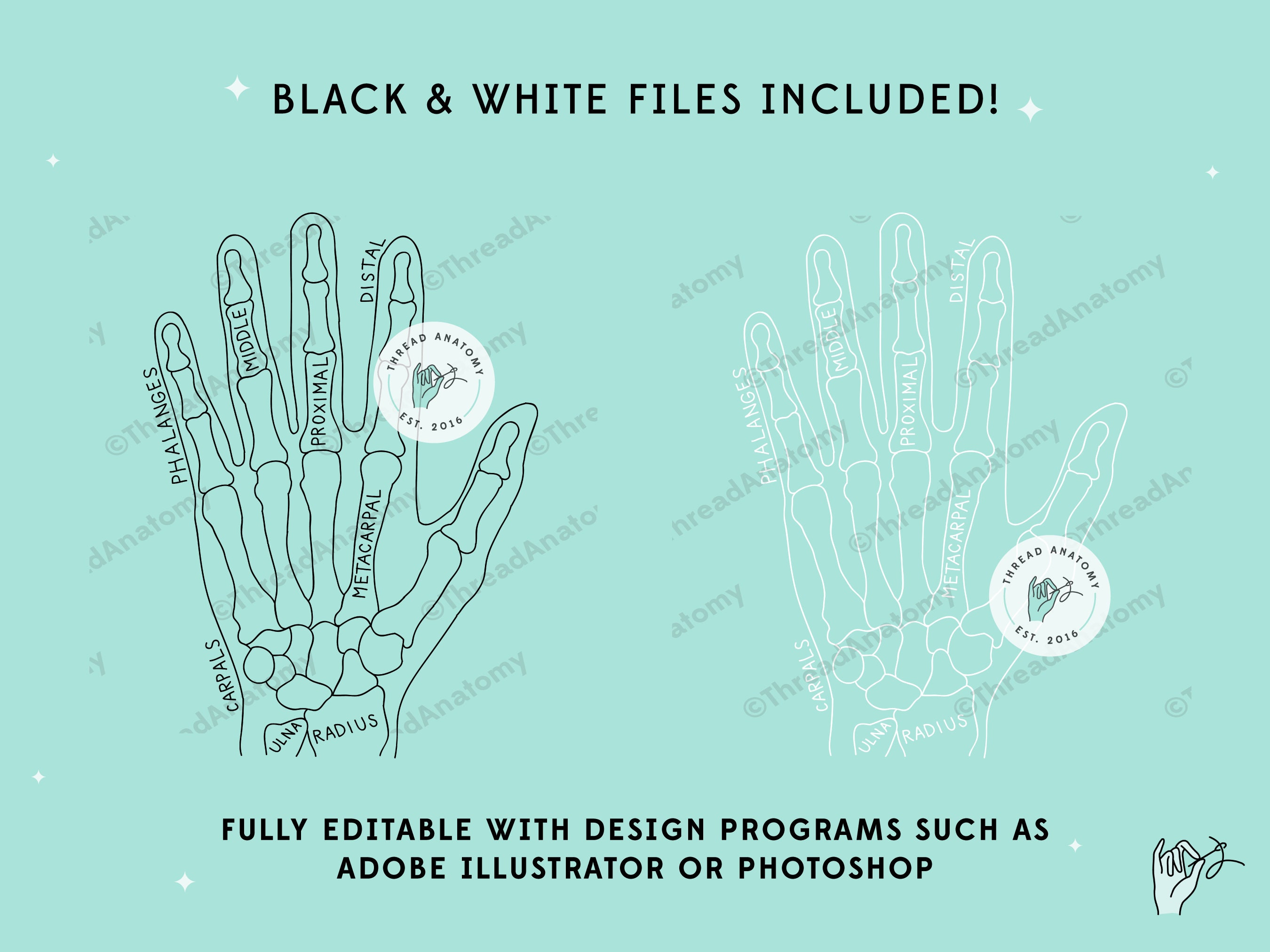 Hand Anatomy Clipart, Hand Clipart, Hand Graphic, Hand Clip Art ...