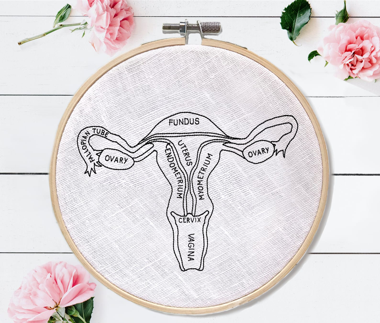 DIY Uterus & Penis Anatomy Embroidery Bundle, Uterus Embroidery, Penis ...
