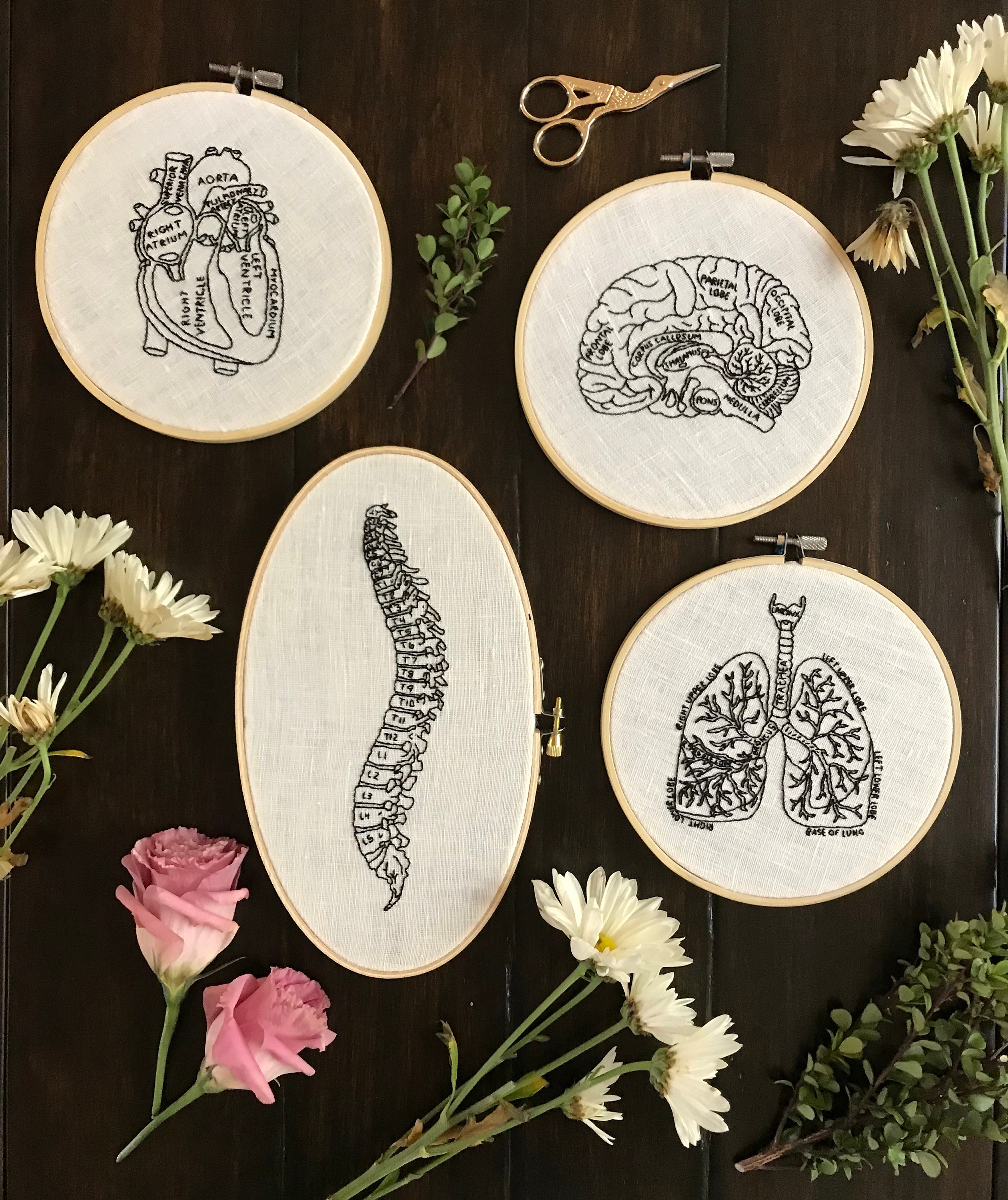 Spine Anatomy Embroidery Pattern Medical Embroidery Pattern - Etsy ...