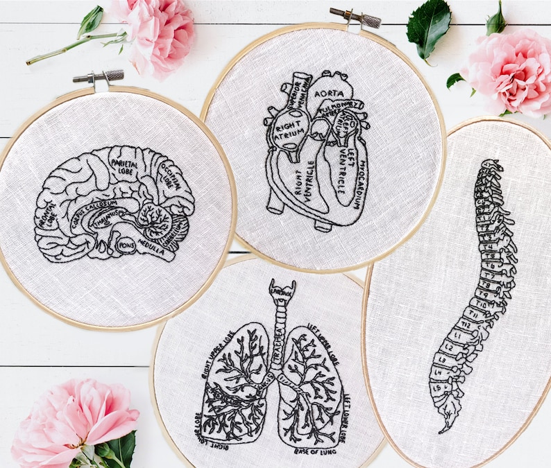 23 Anatomy Embroidery Patterns, Embroidery Pattern Bundle, Medical ...