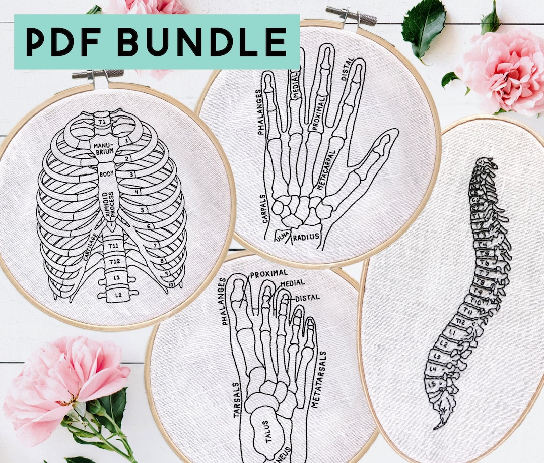 Anatomy Embroidery Pattern Bundle, Ribs Hand Foot Spine, Physical ...