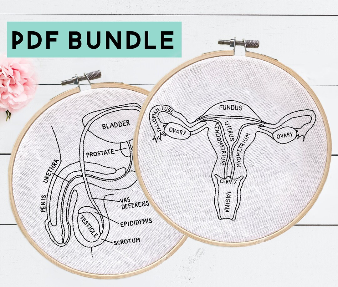 DIY Uterus & Penis Anatomy Embroidery Bundle, Uterus Embroidery, Penis ...