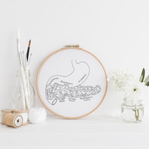 DIY Pancreas Embroidery Pattern, Pancreas Anatomy Art, Medical ...