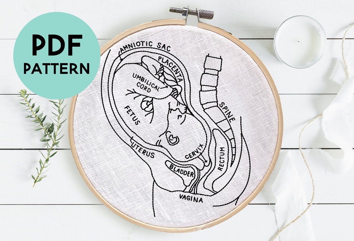 DIY Pregnancy Anatomy Embroidery Fetus in Utero Pattern PDF - Etsy