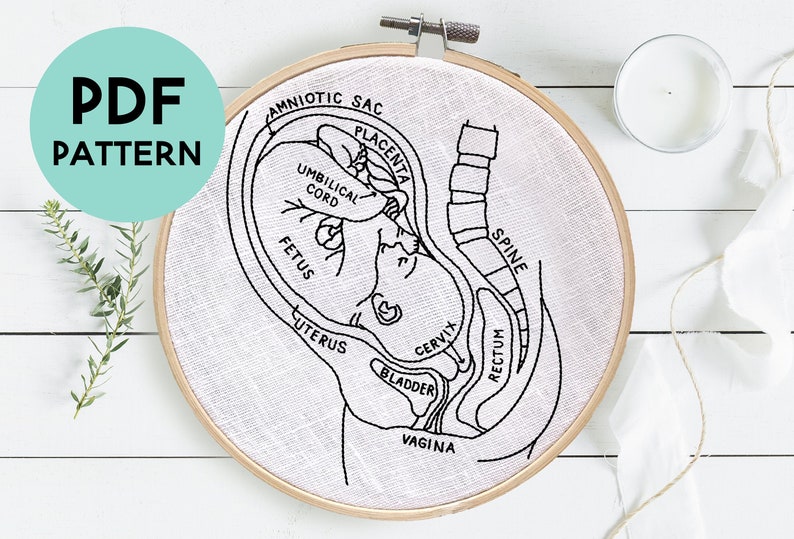 DIY Pregnancy Anatomy Embroidery Fetus in Utero Pattern PDF - Etsy