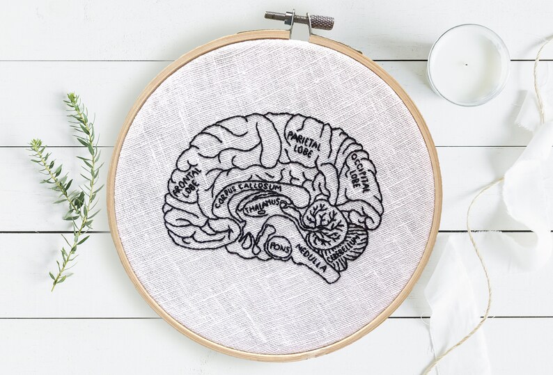 Anatomy Embroidery Pattern Bundle, Nurse Embroidery Guide, DIY Medical ...