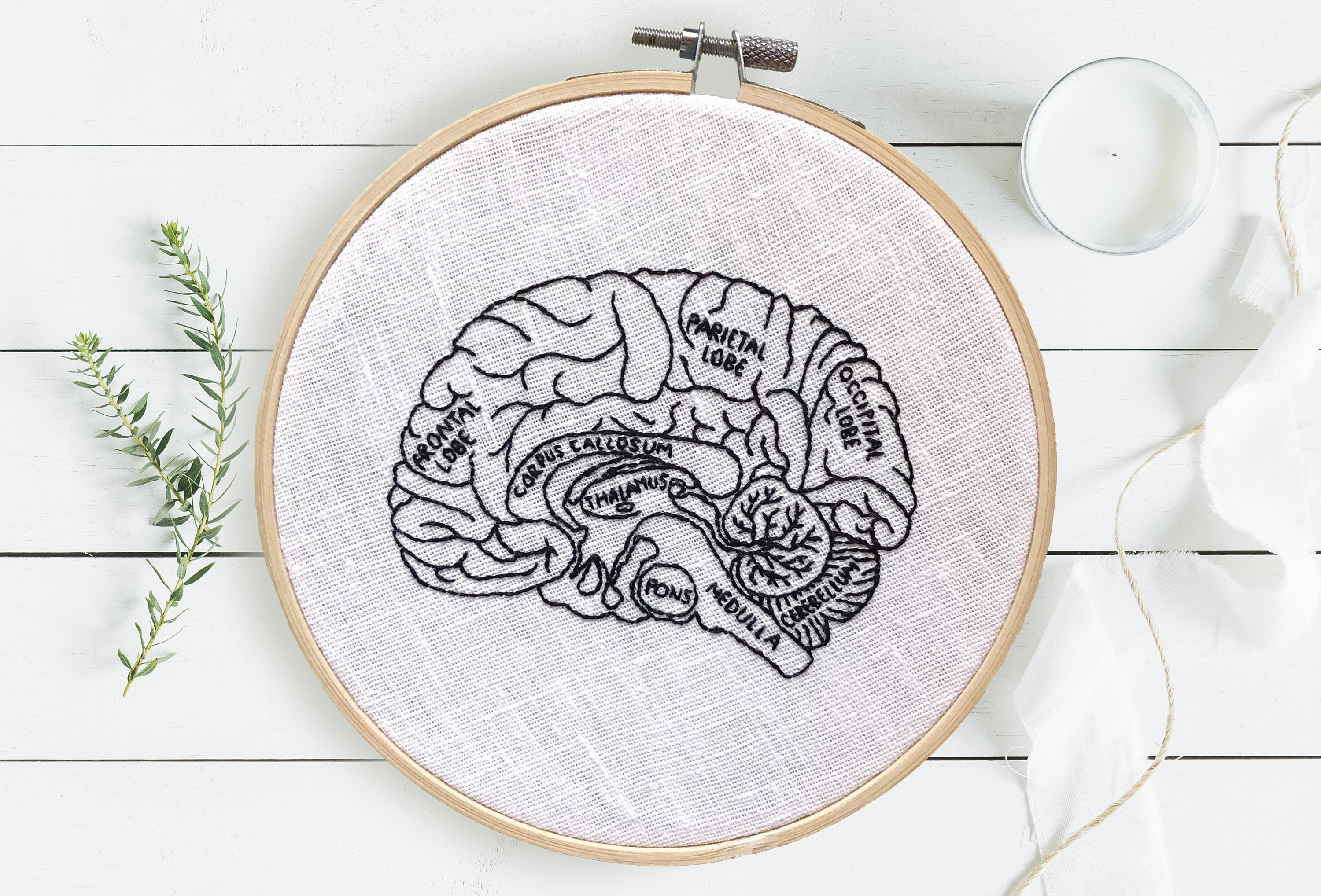 Neurology Embroidery Bundle, DIY Brain & Neuron Anatomy Embroidery ...