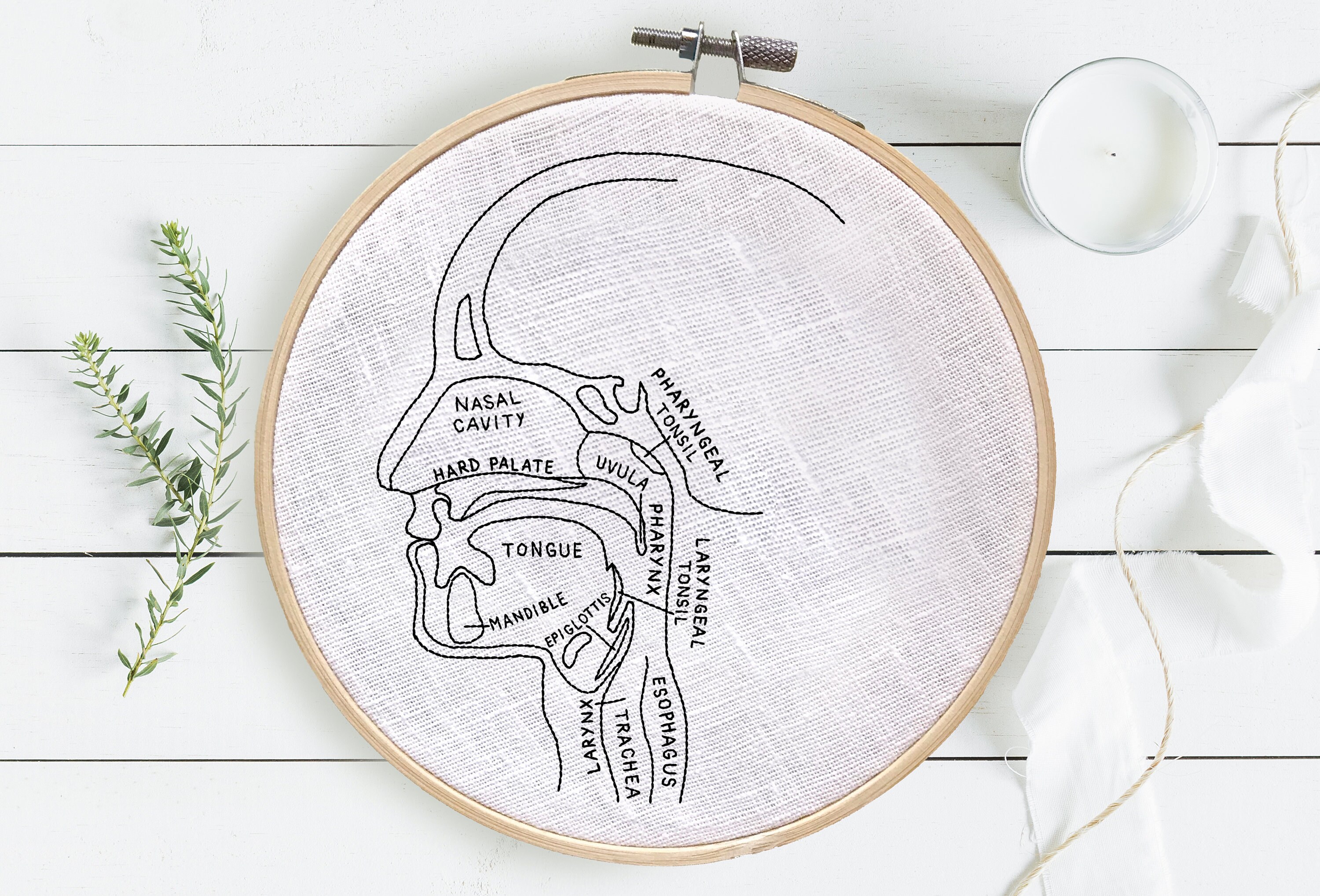 DIY Ear Nose & Throat Anatomy Embroidery Bundle ENT | Etsy