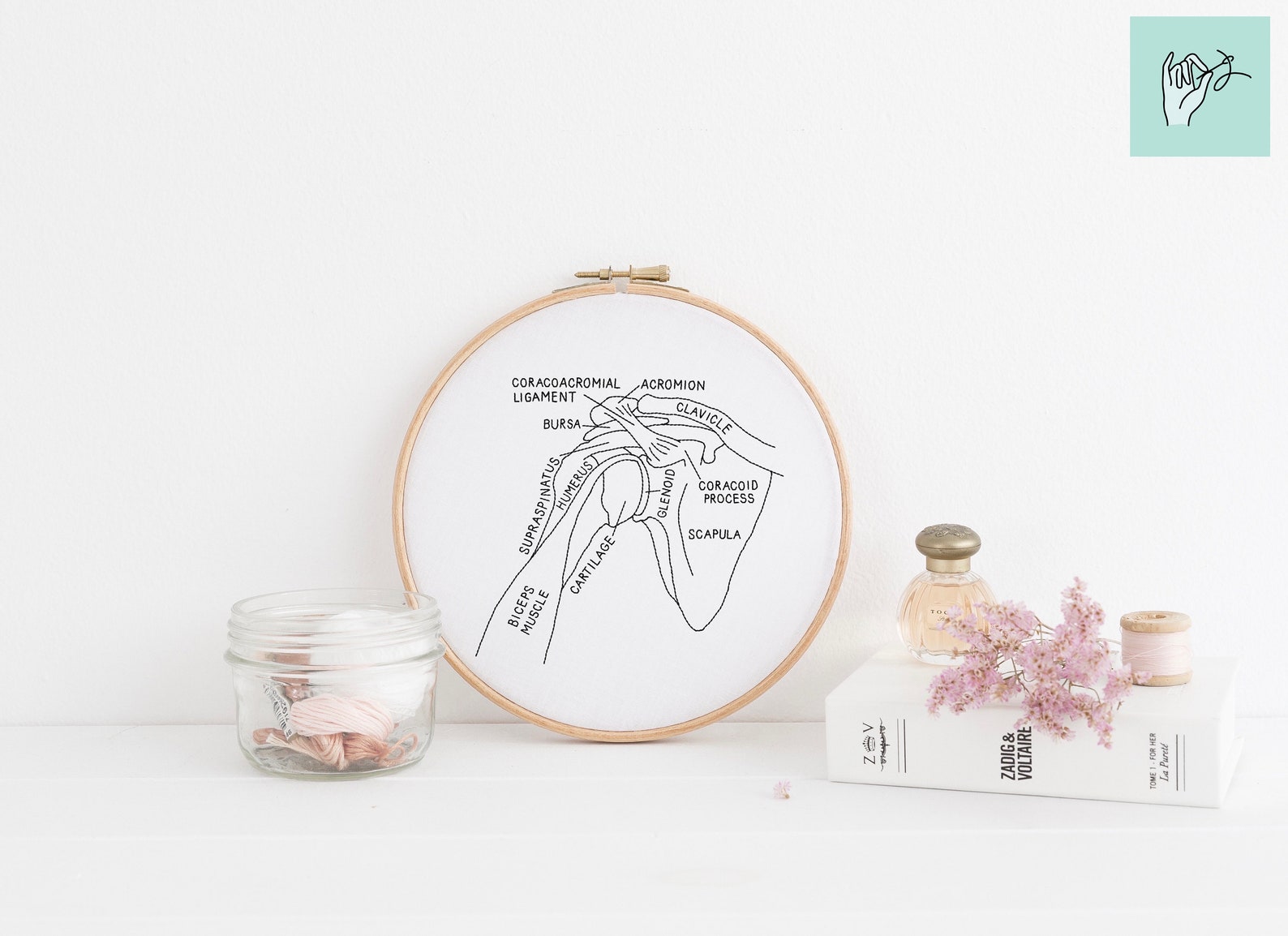 Shoulder Anatomy Embroidery Shoulder Embroidery Orthopedic - Etsy