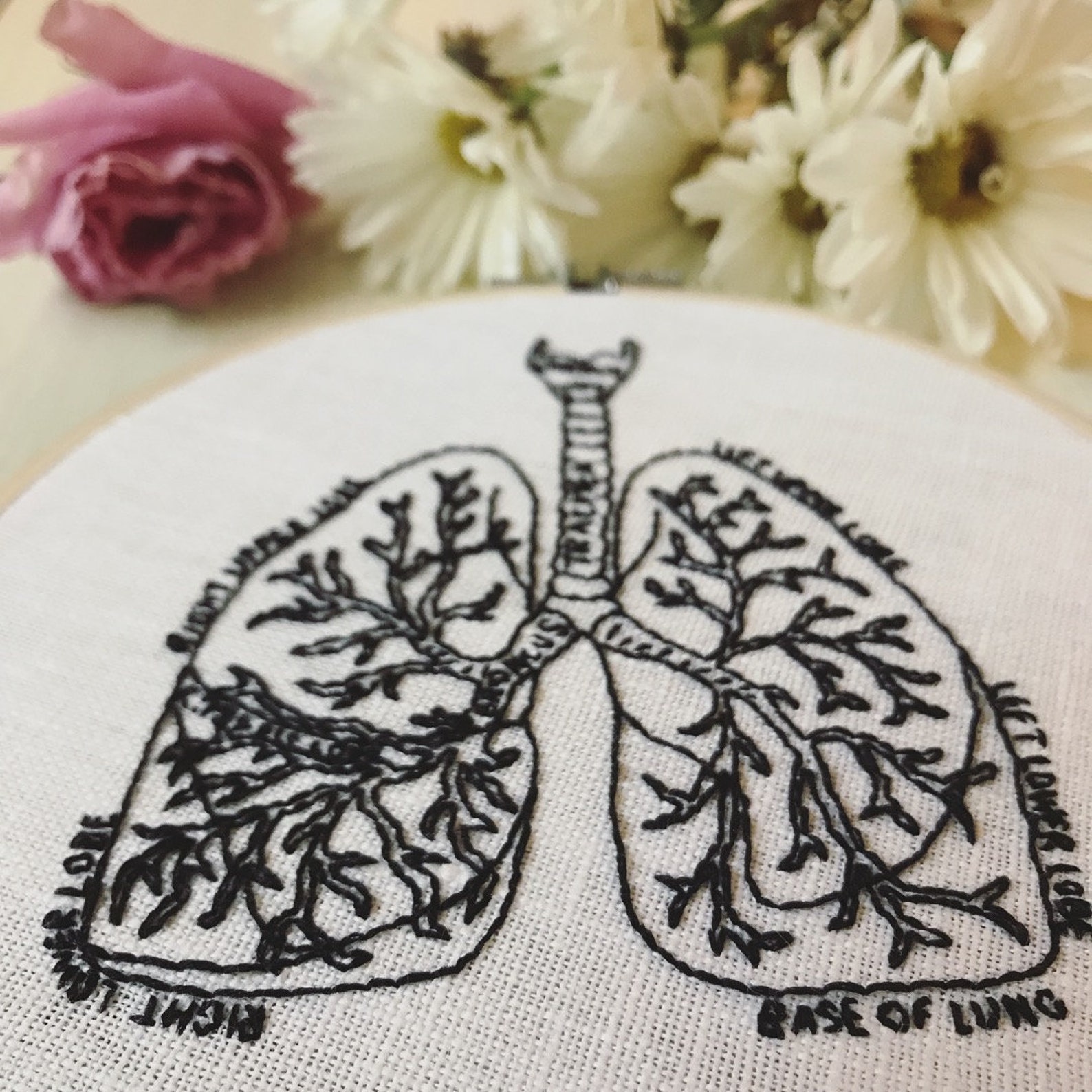 Free anatomy embroidery patterns - lightbool