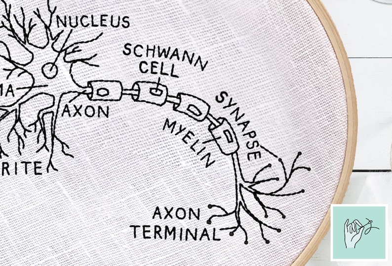 Neurology Embroidery Bundle, DIY Brain & Neuron Anatomy Embroidery ...
