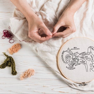 DIY Ear Anatomy Embroidery Pattern, Inner Ear Anatomy Art, Audiologist ...