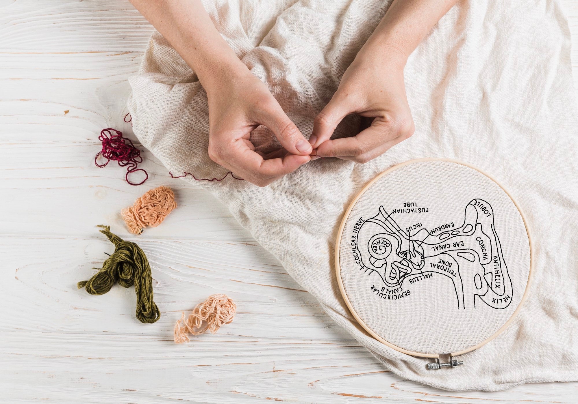 DIY Ear Anatomy Embroidery Pattern Inner Ear Anatomy Art | Etsy