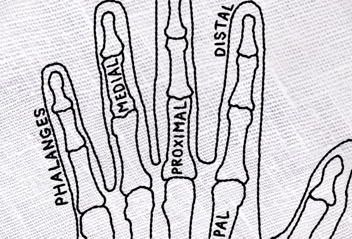 DIY Hand Anatomy Embroidery Pattern, Handmade Embroidery, Occupational ...