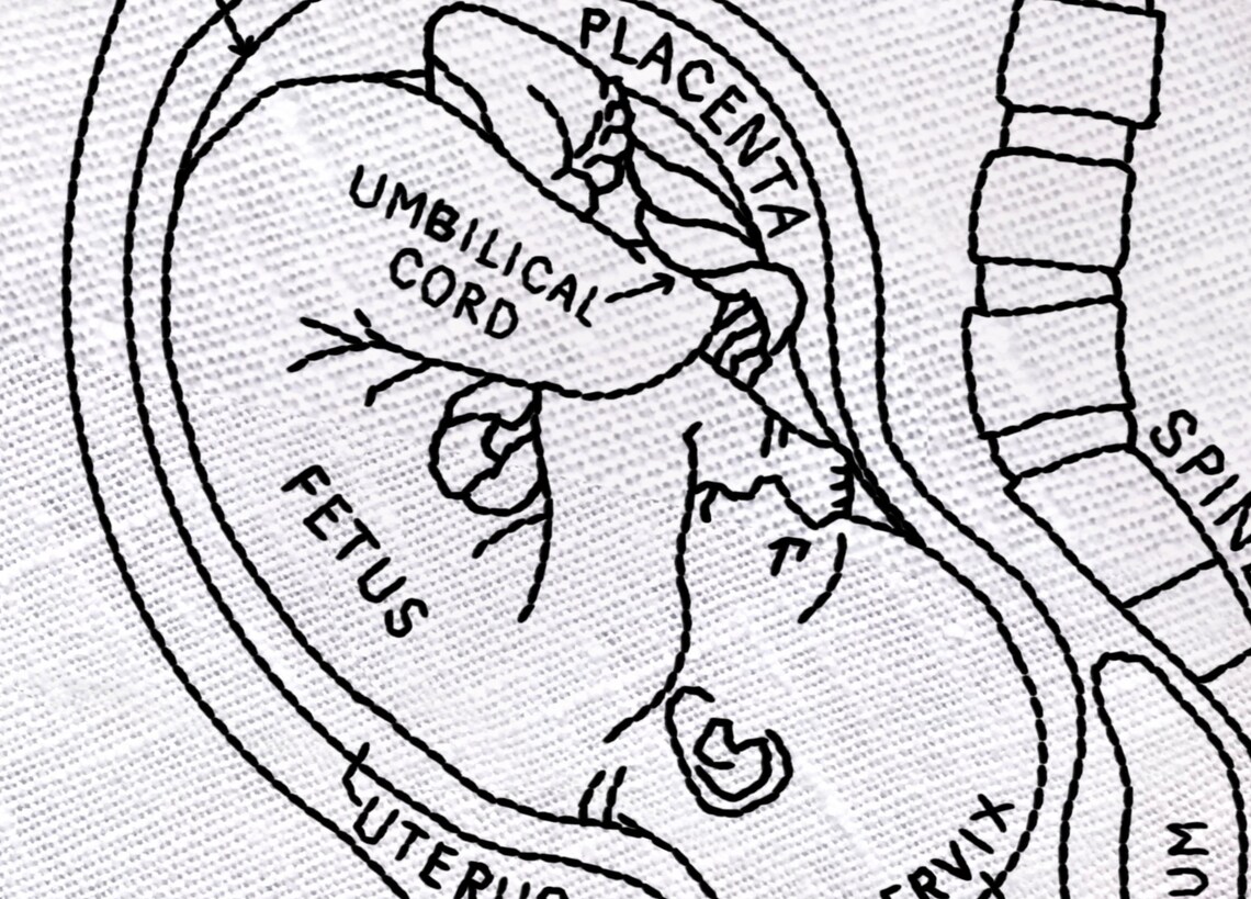 DIY Pregnancy Anatomy Embroidery Fetus in Utero Pattern PDF - Etsy