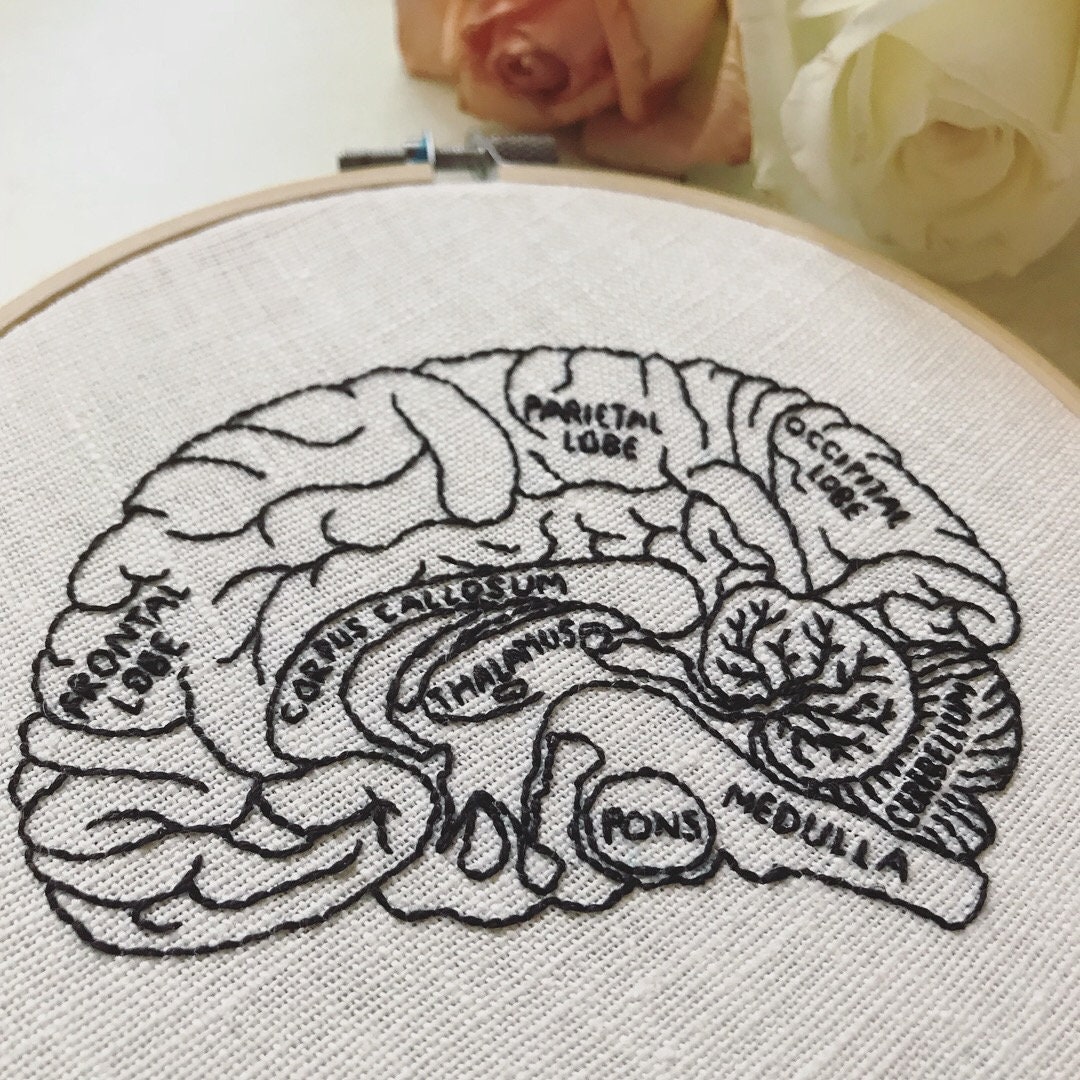 DIY Brain Embroidery Pattern Brain Anatomy Embroidery - Etsy Canada