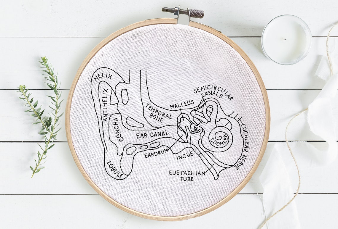 DIY Ear Nose & Throat Anatomy Embroidery Bundle ENT | Etsy