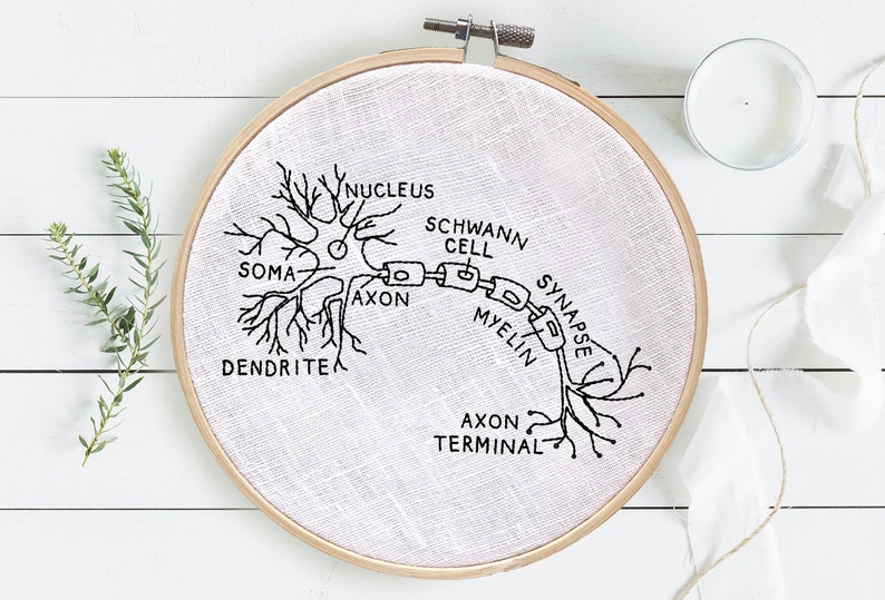 Neurology Embroidery Bundle, DIY Brain & Neuron Anatomy Embroidery ...