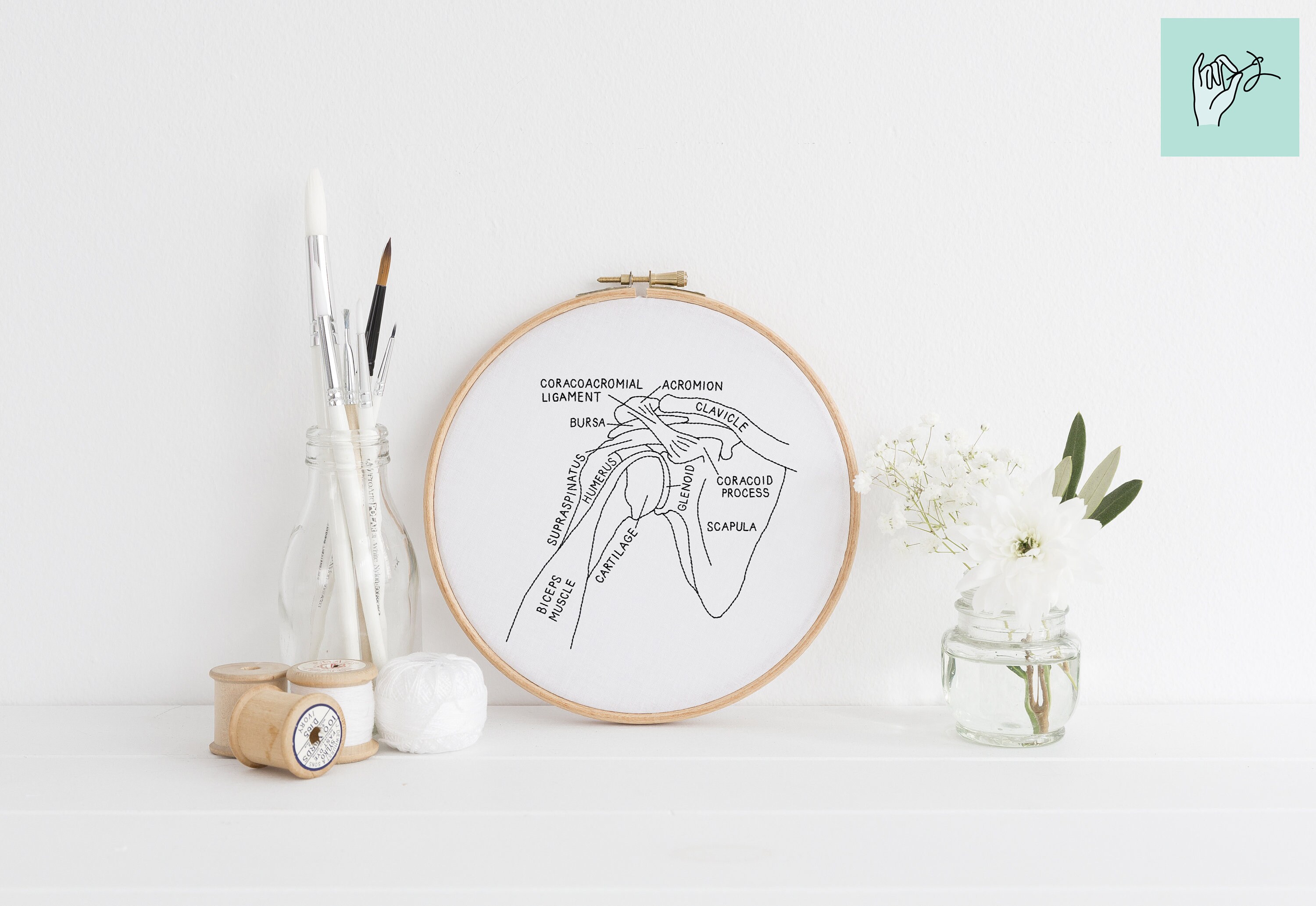 Shoulder Anatomy Embroidery Shoulder Embroidery Orthopedic | Etsy