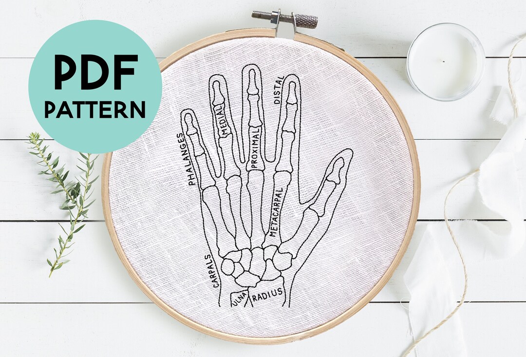 DIY Hand Anatomy Embroidery Pattern, Handmade Embroidery, Occupational ...