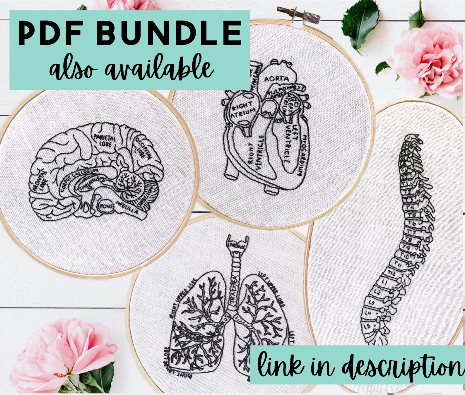 Anatomy Embroidery Pattern Bundle Ribs Hand Foot Spine | Etsy