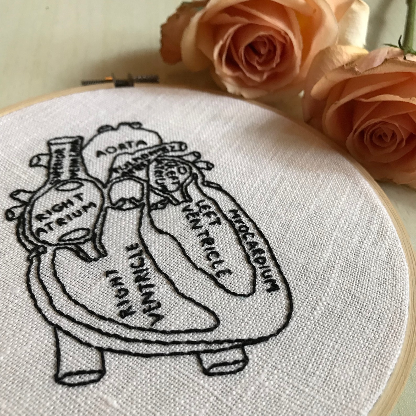 DIY Heart Anatomy Embroidery Pattern, Heart Embroidery, Anatomical ...