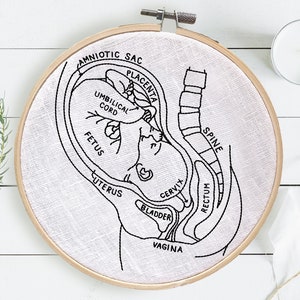 DIY Pregnancy & Uterus Anatomy Embroidery Bundle, DIY Midwife Gift ...