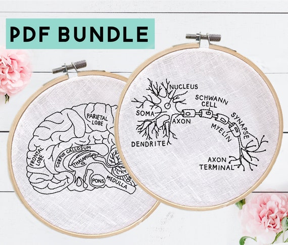 Neurology Embroidery Bundle DIY Brain & Neuron Anatomy - Etsy