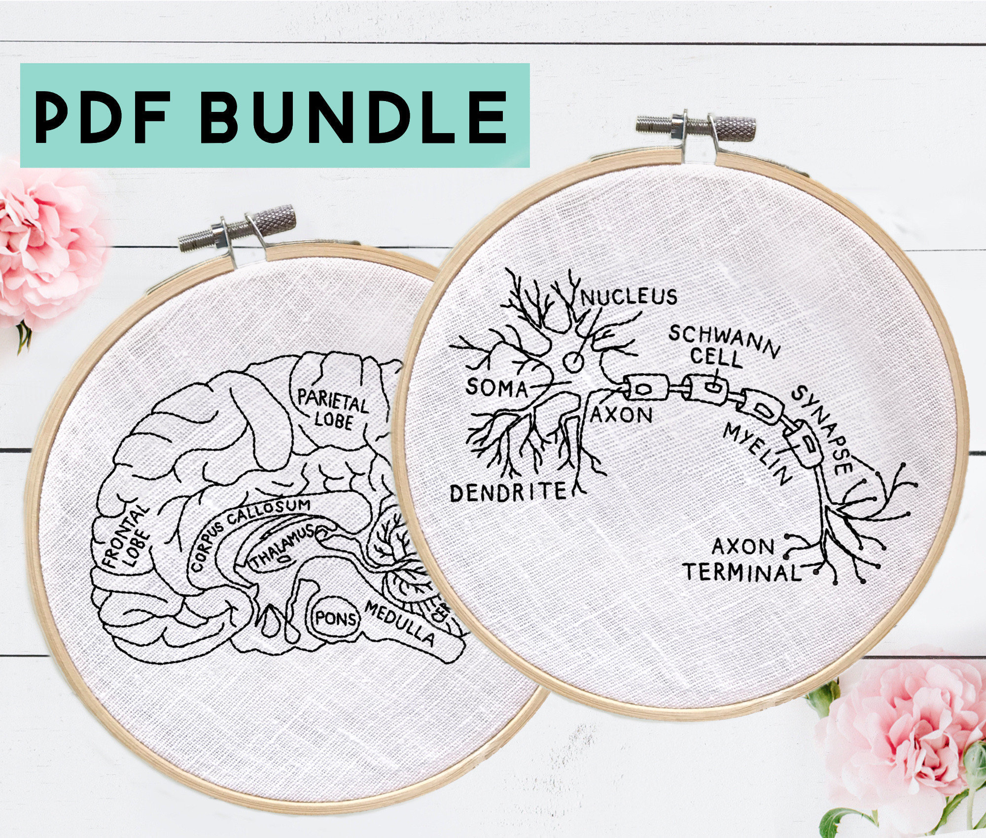 Neurology Embroidery Bundle, DIY Brain & Neuron Anatomy Embroidery ...