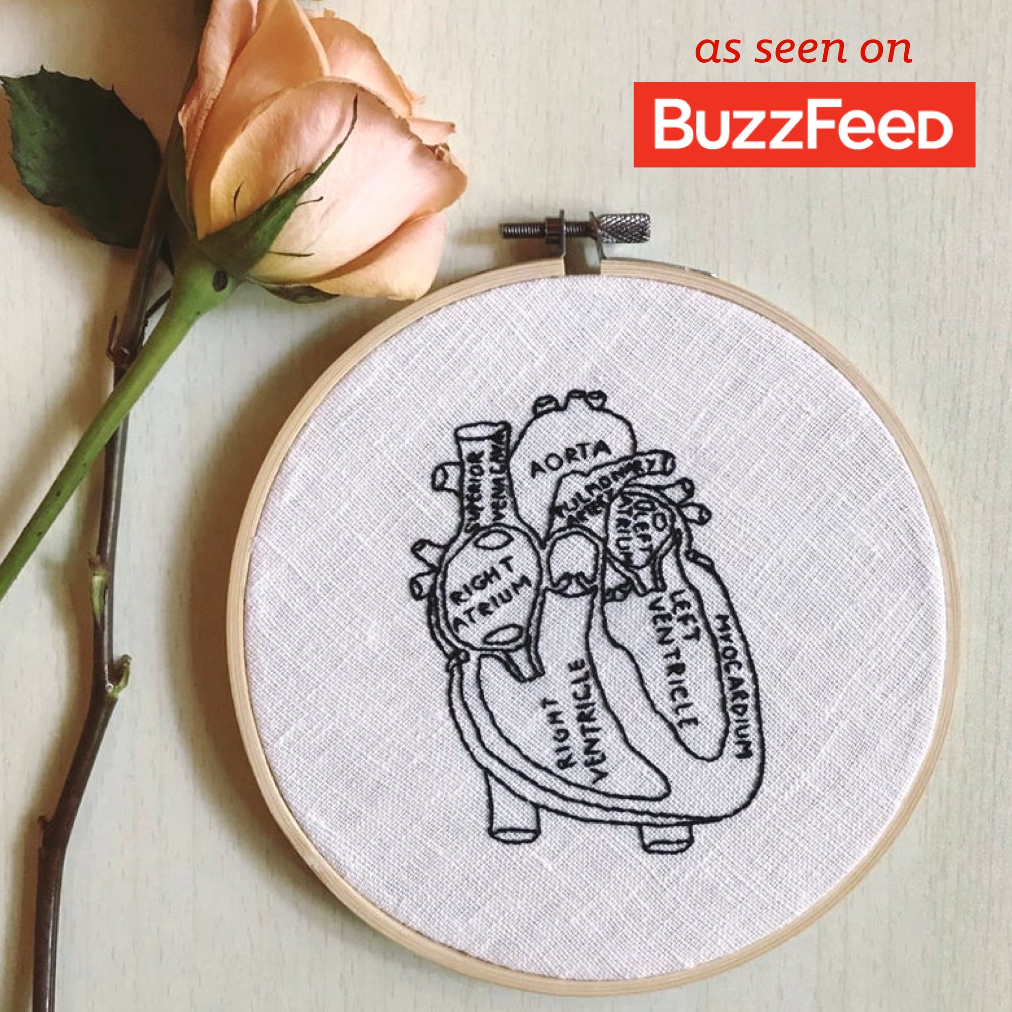 DIY Heart Anatomy Embroidery Pattern, Heart Embroidery, Anatomical ...