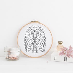 Anatomy Embroidery Pattern Bundle, Ribs Hand Foot Spine, Physical ...